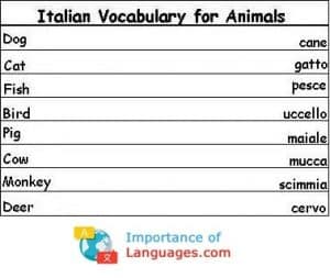 Learn Italian Language Guide