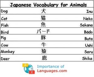 Japanese Basic Grammar Introduction – Japanese Grammar Rules